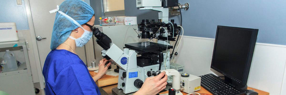 The History of IVF: The Women Behind It All